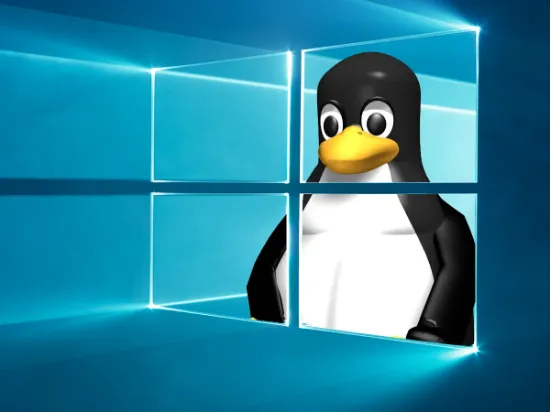 Yusuf Macit. What is WSL (Windows Subsystem for Linux)?